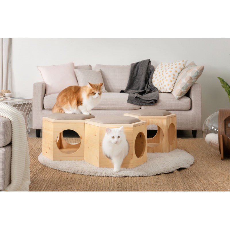 Griffoir mural pour chat ou chaise Busycat Chair Plate – MYZOO