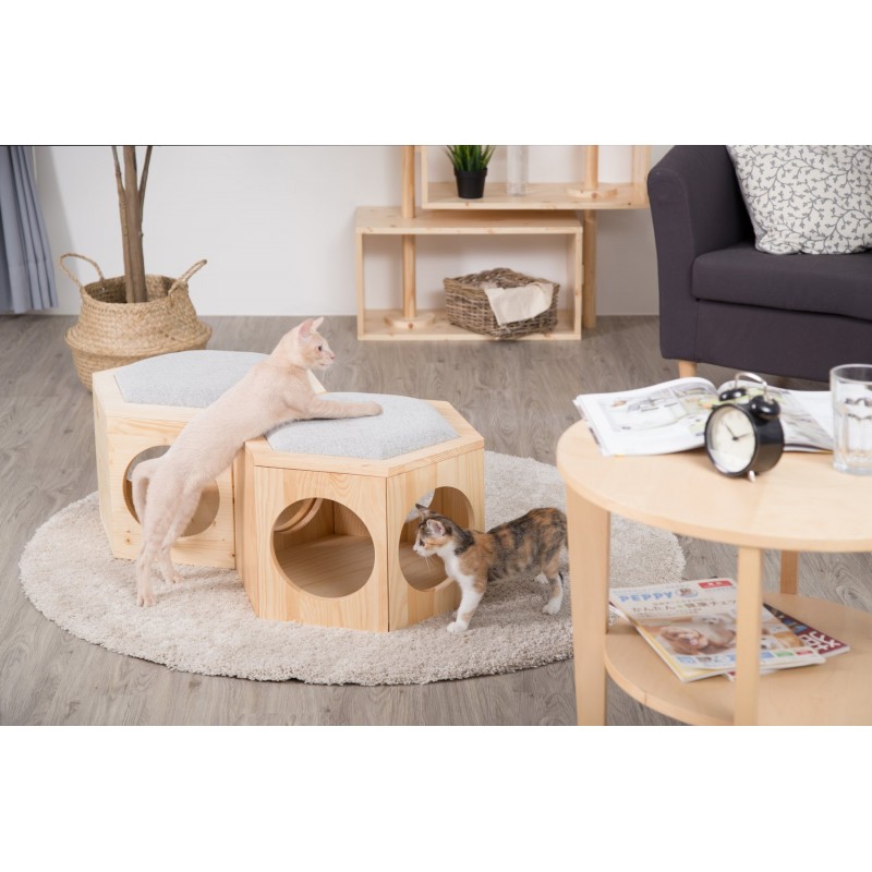 Griffoir mural pour chat ou chaise Busycat Chair Plate – MYZOO