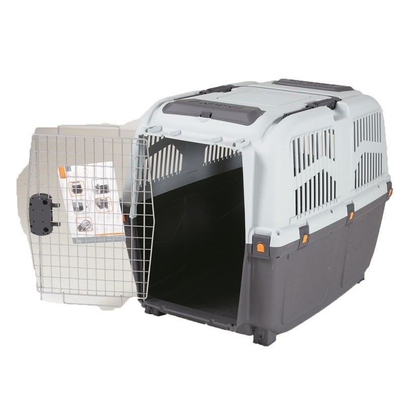 Animalerie Chat Chien Urbain