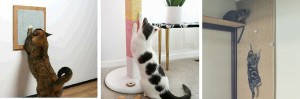 [TUTO] 4 idées de griffoir pour chat à moins de 10€ - CAT APART