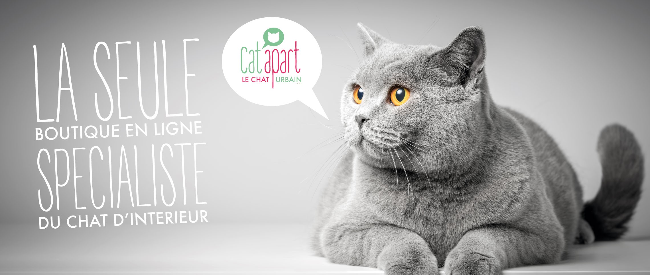 Vente en ligne d'accessoires pour chat et alimentation naturelle pour chat